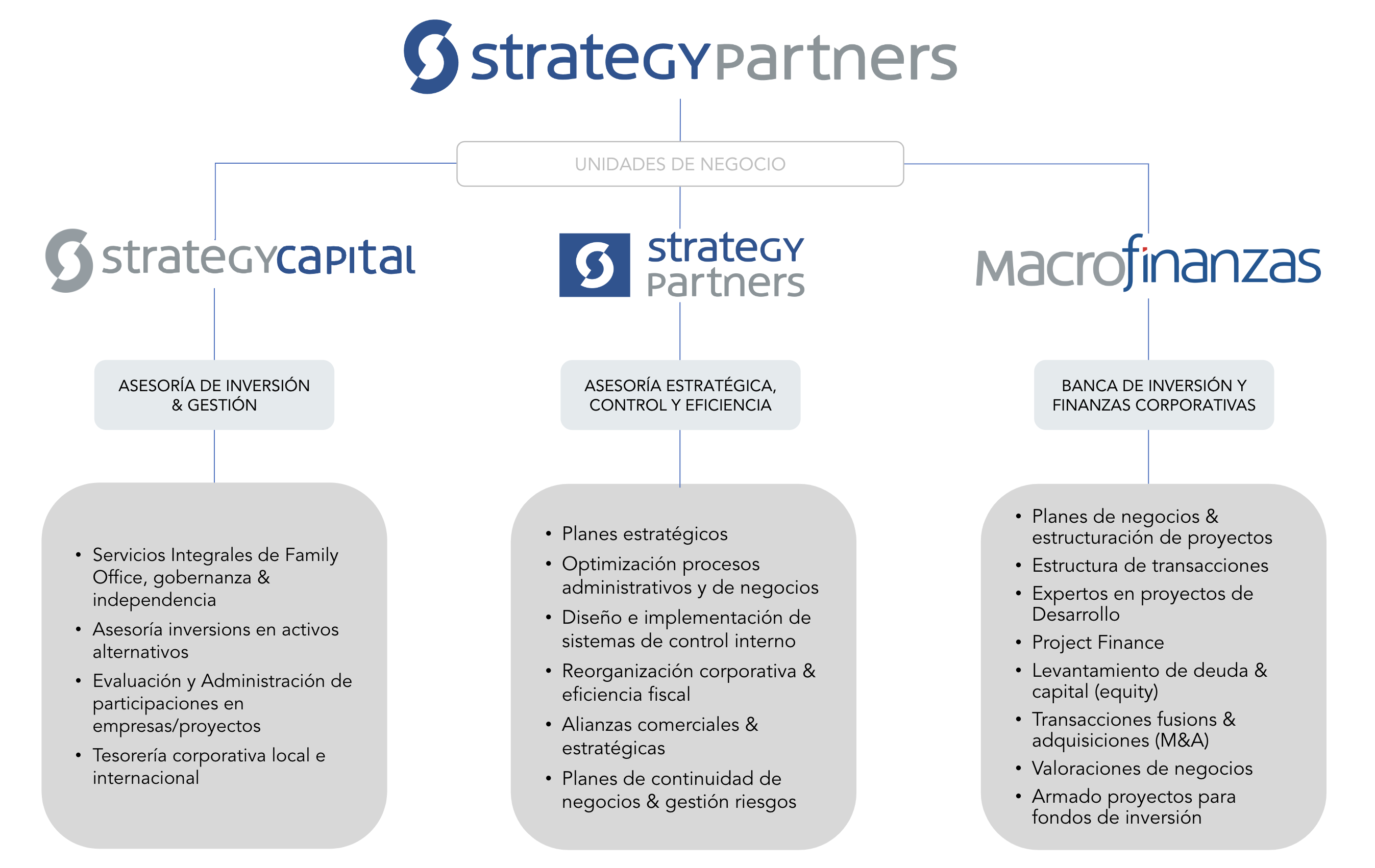 Business Divisions ESP - Strategy Partners